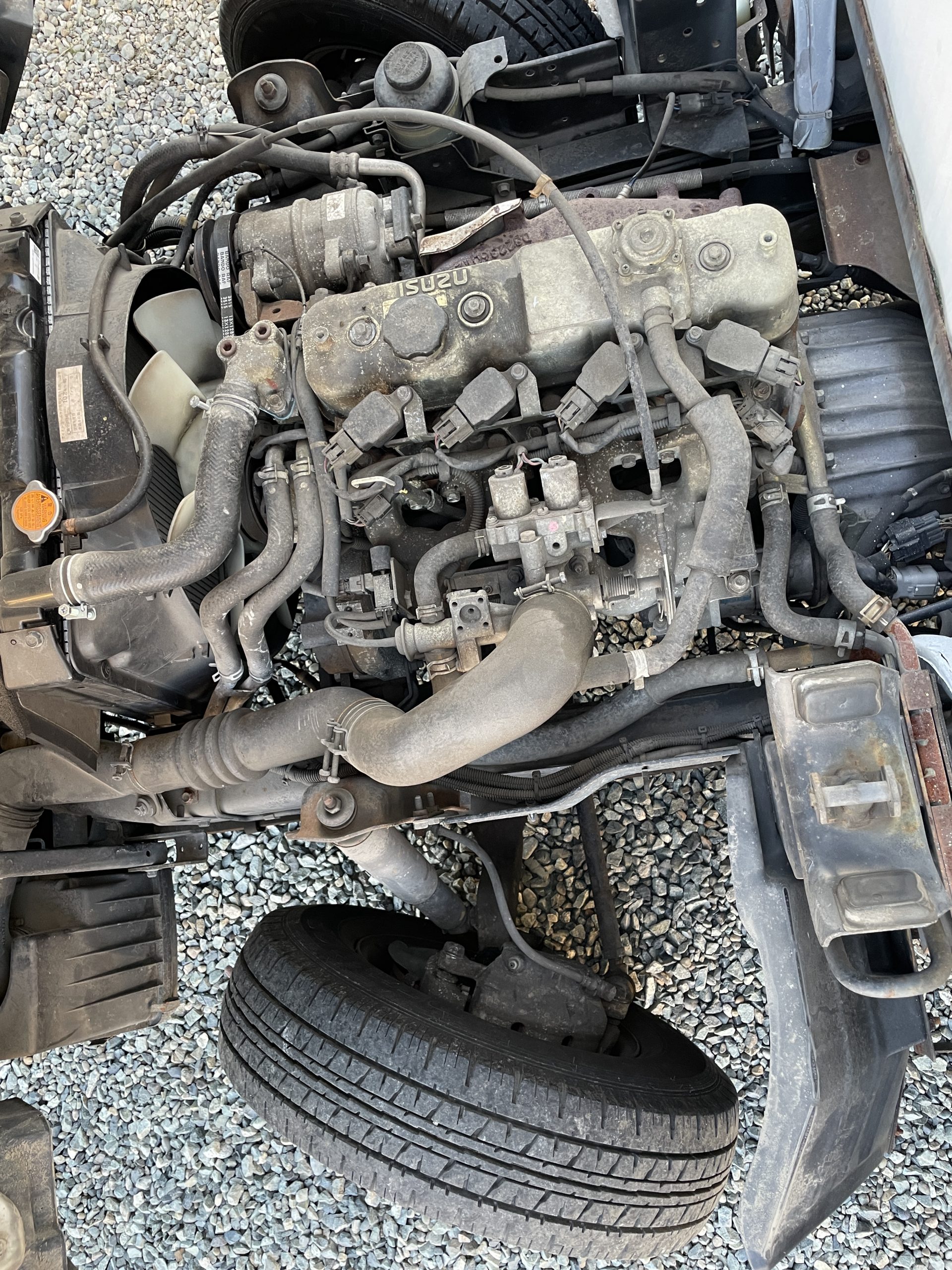 Isuzu Elf JDM import is reliable for business needs