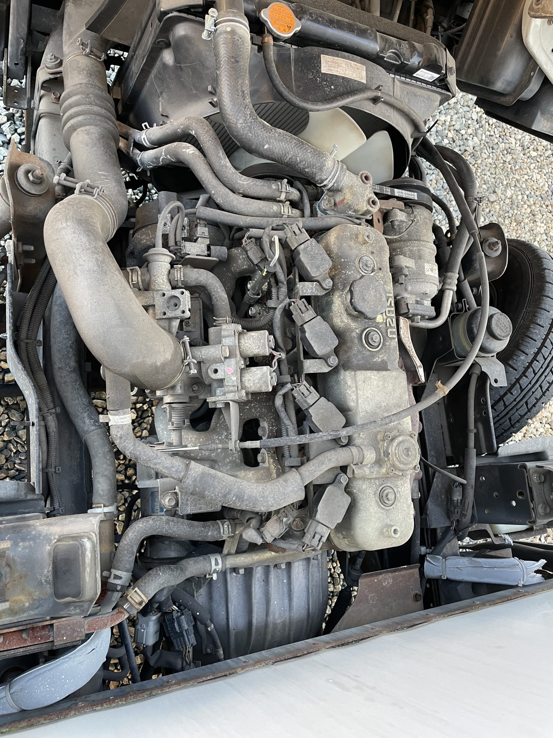 Isuzu Elf JDM import is reliable for business needs